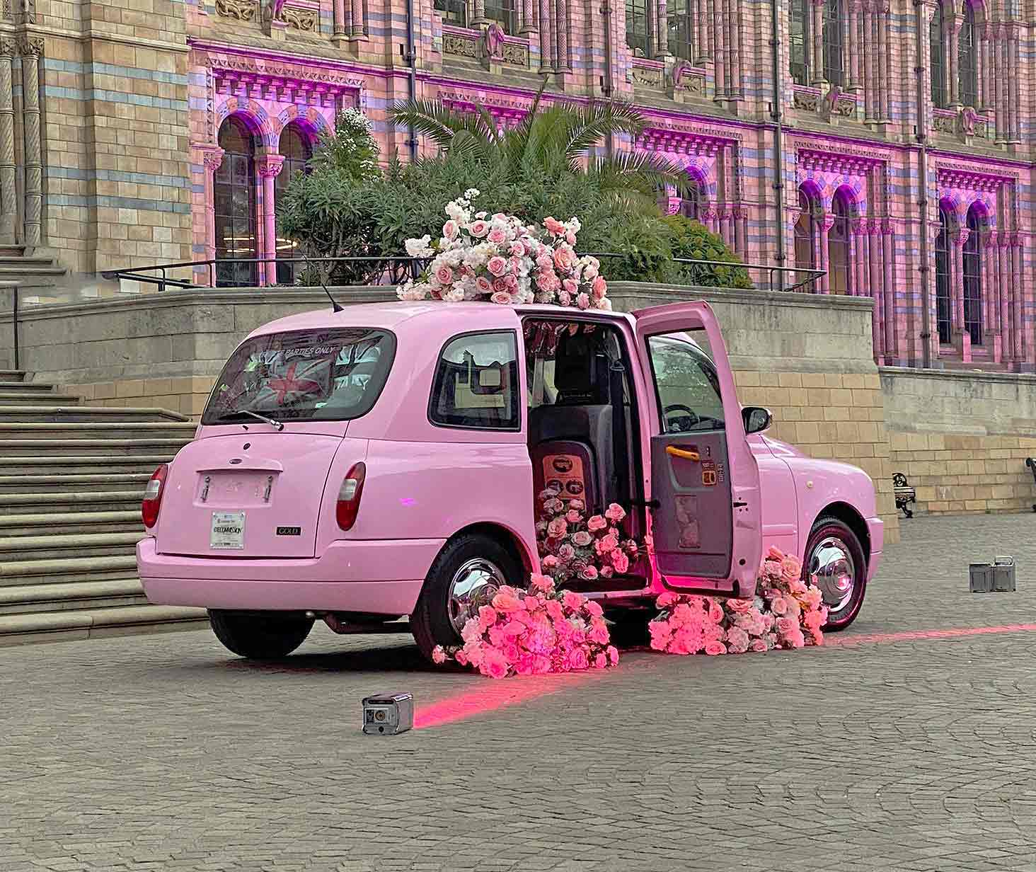 Pink Taxi at London's Natural History Museum - London Black Taxis